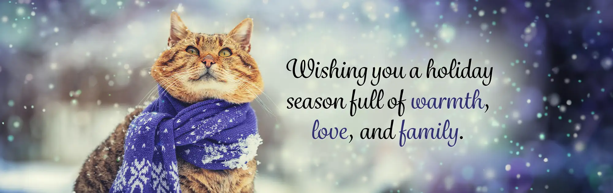 Services | All Animals Veterinary Hospital